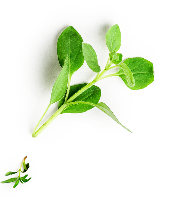 C Tuna Essential Oils